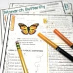 Winter Animals: Hibernation, Migration, Adaptation - Catch the Buzz ...